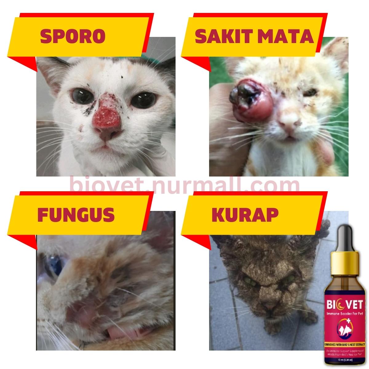 Biovet – Vitamin Kucing No.1 Malaysia
